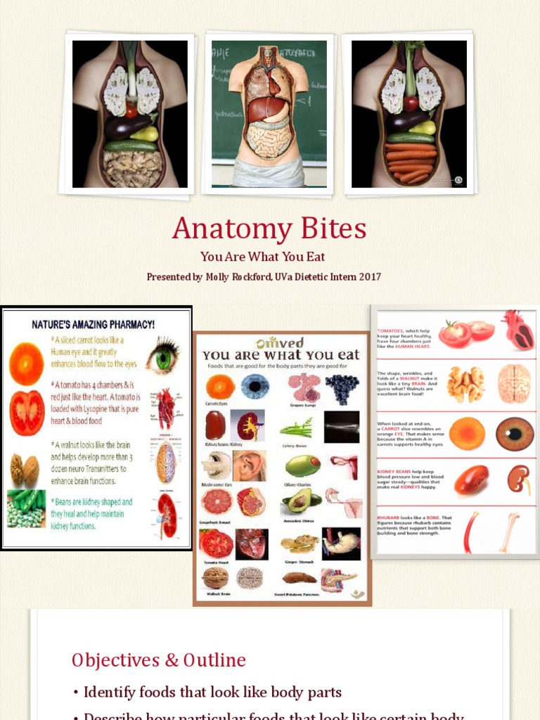 Anatomy Bites: You Are What You Eat | PDF | Omega 3 Fatty Acid ...