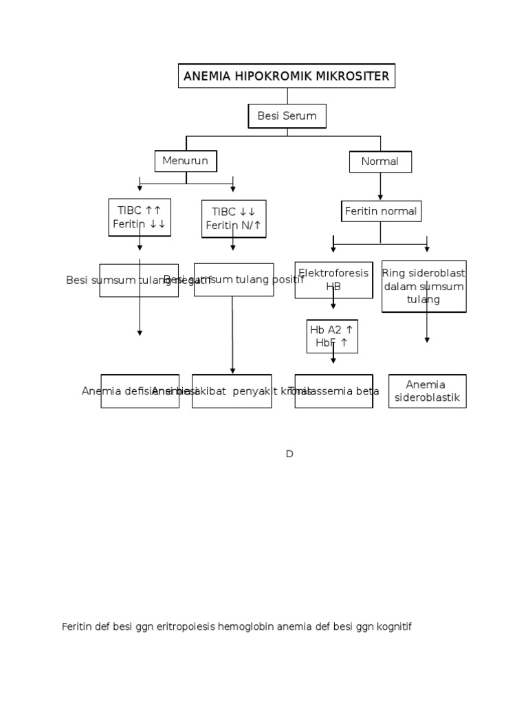 Algoritma Diagnosis Anemia | PDF | Anemia | Blood Proteins