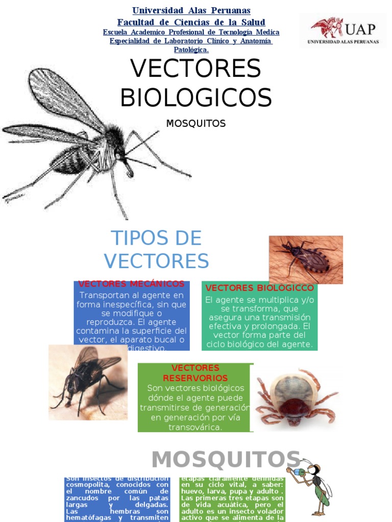VECTORES-BIOLOGICOS