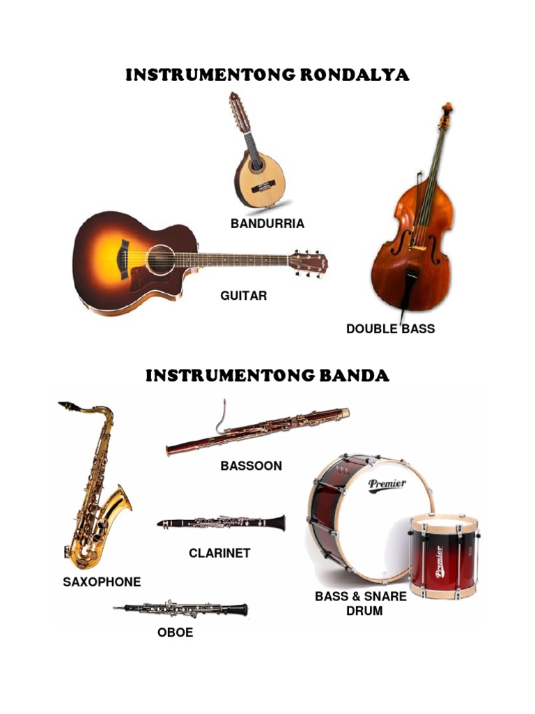 String Instrument | PDF