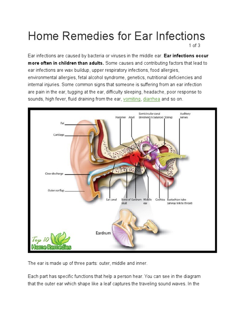 Ear Infection | PDF | Ear | Auditory System