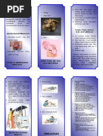 Leaflet Dismenore Fix | PDF