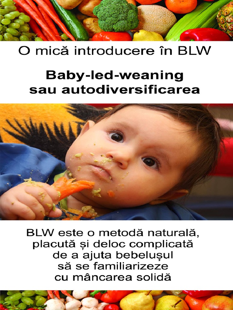 Introducere in BLW PDF | PDF