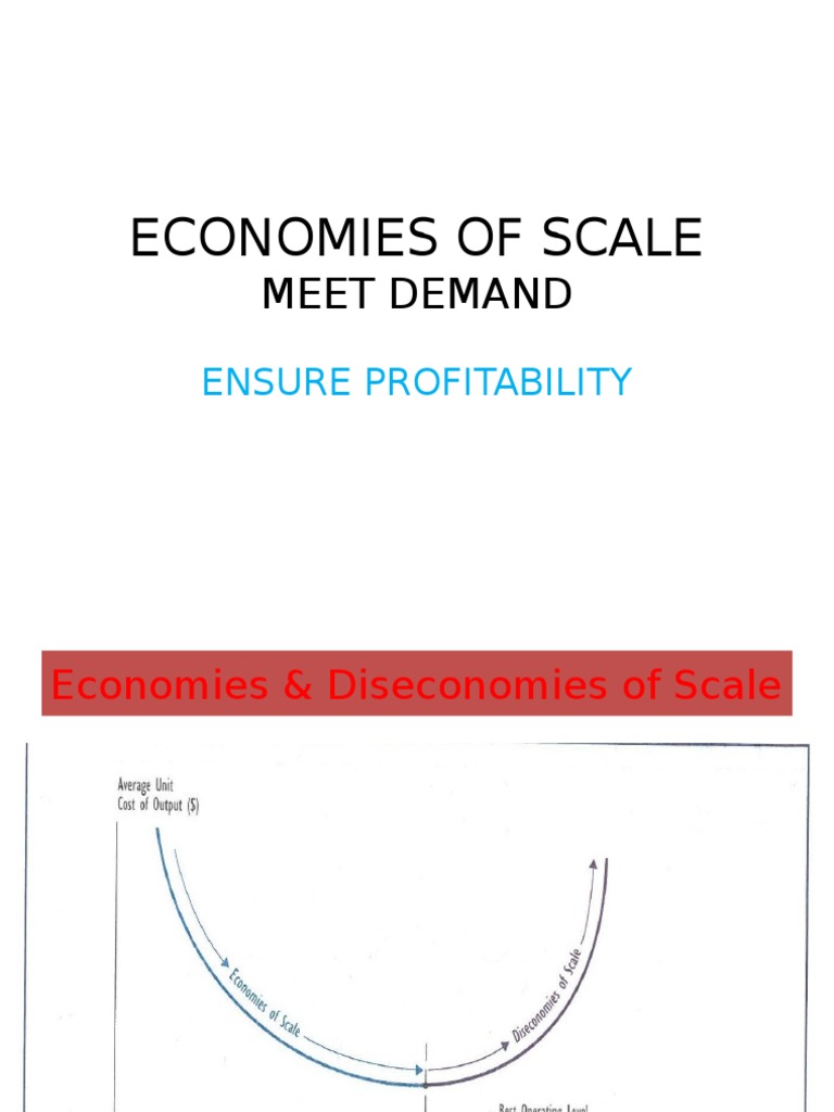 Econmies of Scale | PDF