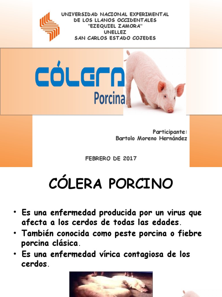 Cólera Porcina (Bartolo Moreno) | Virus | Diarrea