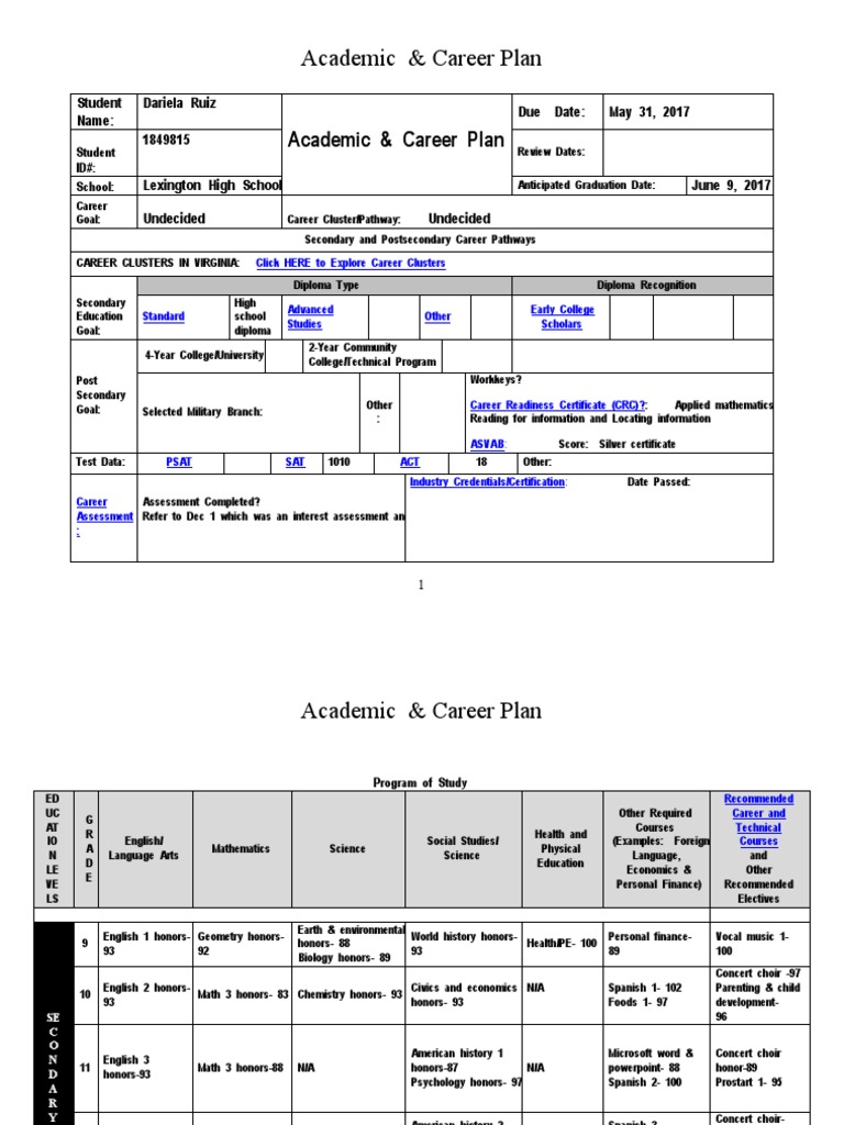 Careerplantemplatefillin | PDF | Secondary School | Academia