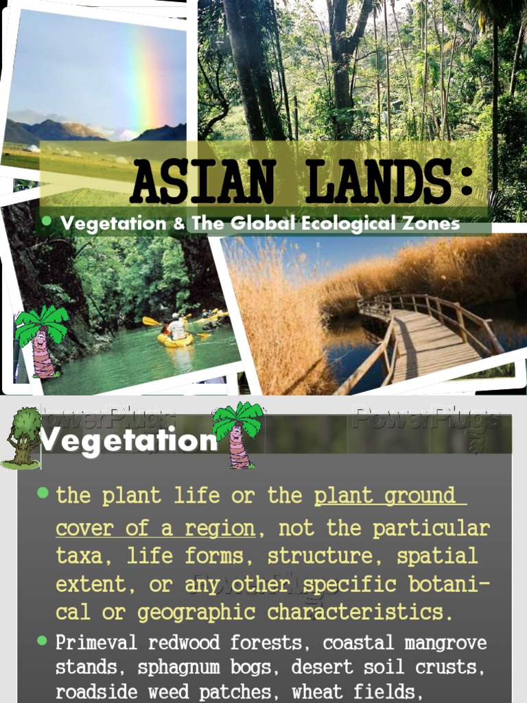 Asia Vegetation | PDF | Forests | Rainforest
