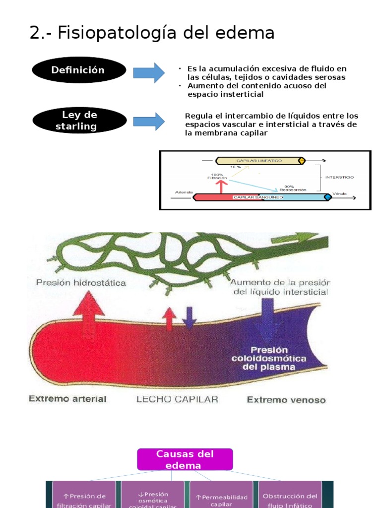 Fisiopatología del Edema: Causas y Mecanismos | PDF