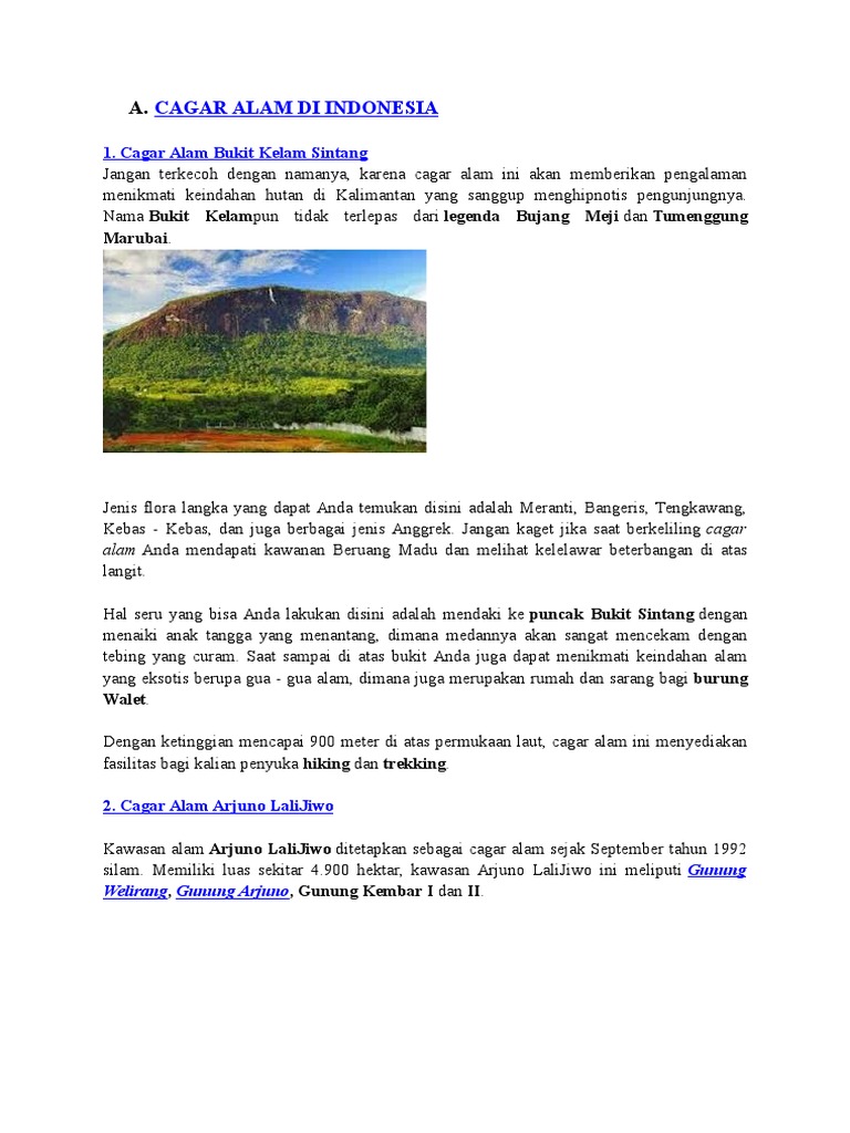CAGAR ALAM DI INDONESIA | PDF