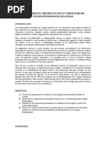 Agente Caotrópico | PDF | Ciencia y matemáticas