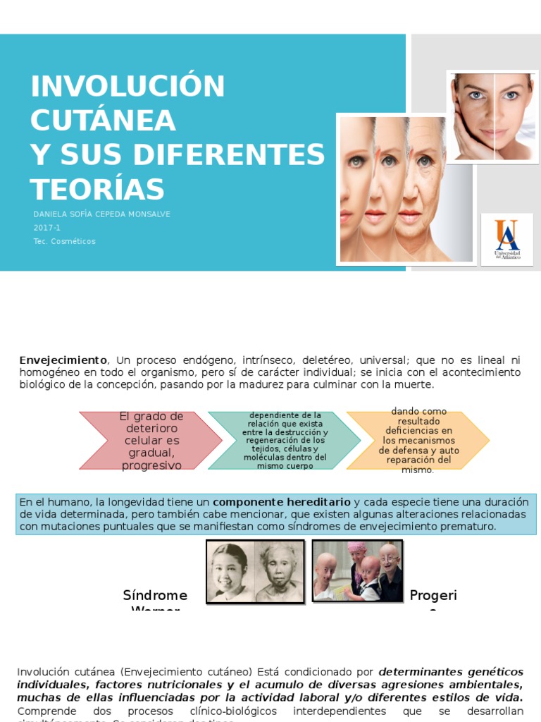 Involución Cutánea | PDF | Envejecimiento | Piel
