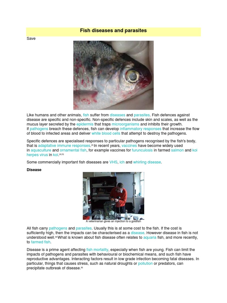Understanding Fish Diseases and Parasites | PDF | Infection | Fish