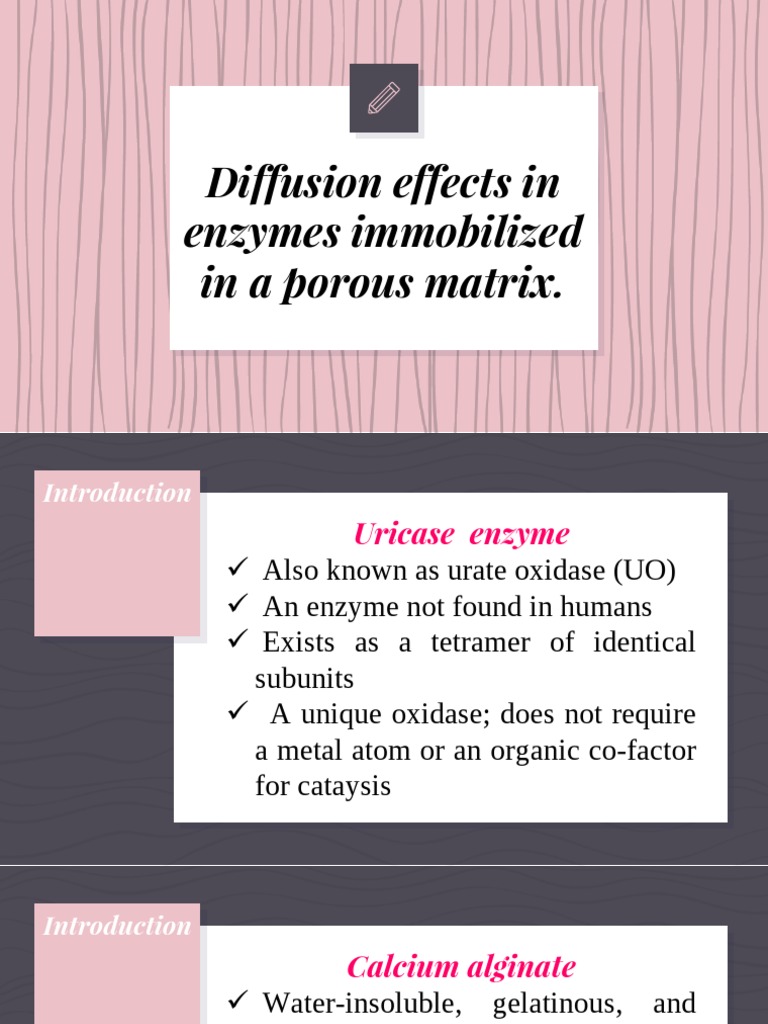 Diffusion Effects in Enzymes Immobilized in A Porous Matrix | PDF ...