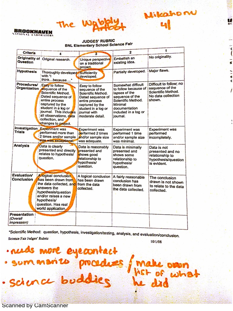Science Fair Rubric | PDF