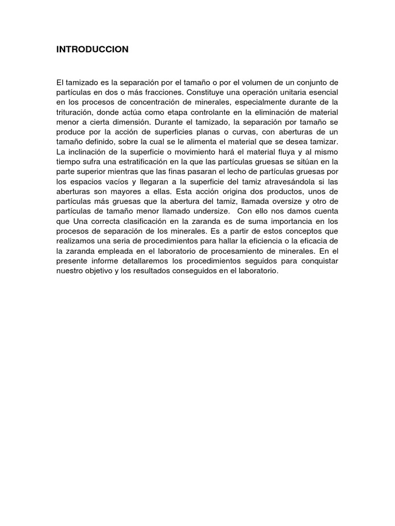 Informe de Eficiencia de Zaranda | PDF | Minerales | Masa