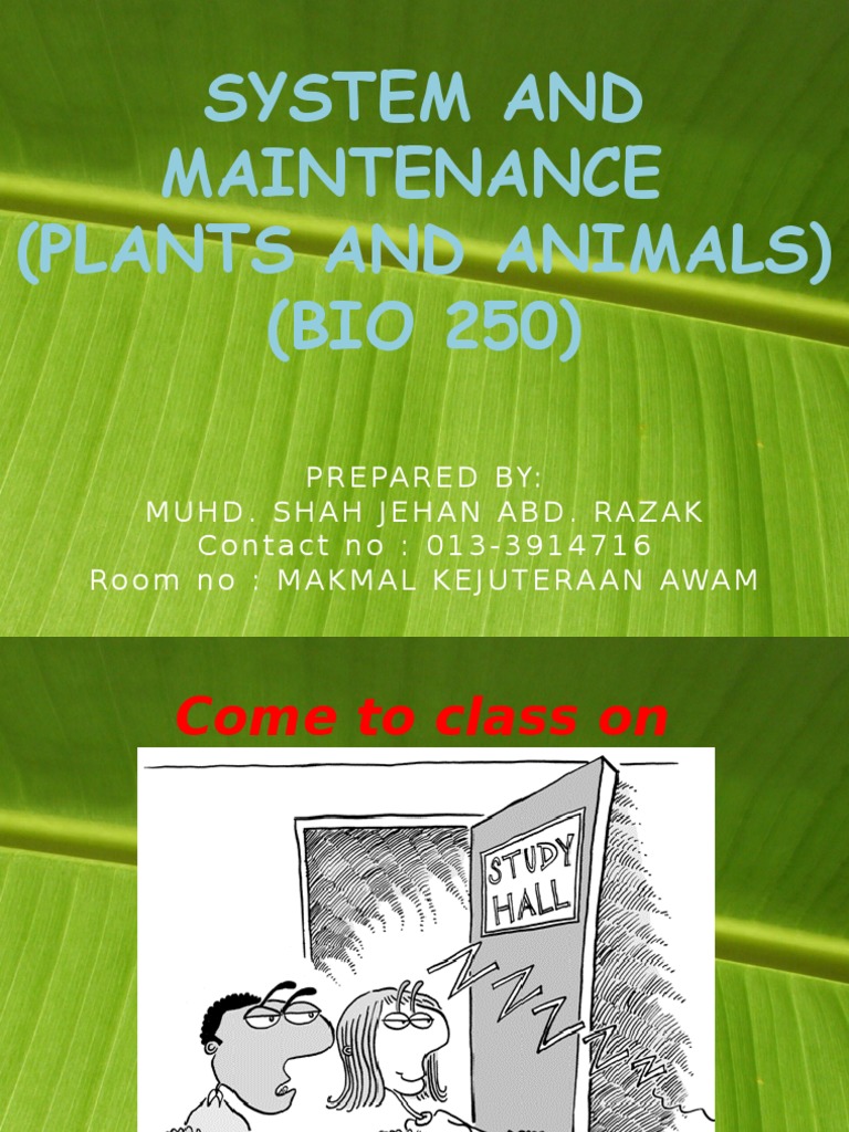 System and Maintenance (Plants and Animals) (BIO 250) | PDF | Biology ...