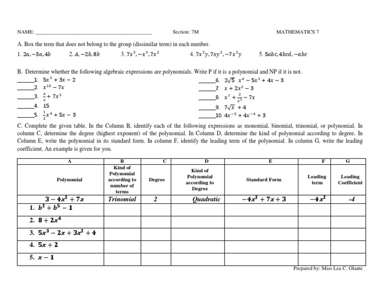 Mathematics 7: Classifying and Standardizing Algebraic Expressions ...