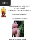 Plantas Autogamas y Alogamas | PDF | Botánica | Reproducción