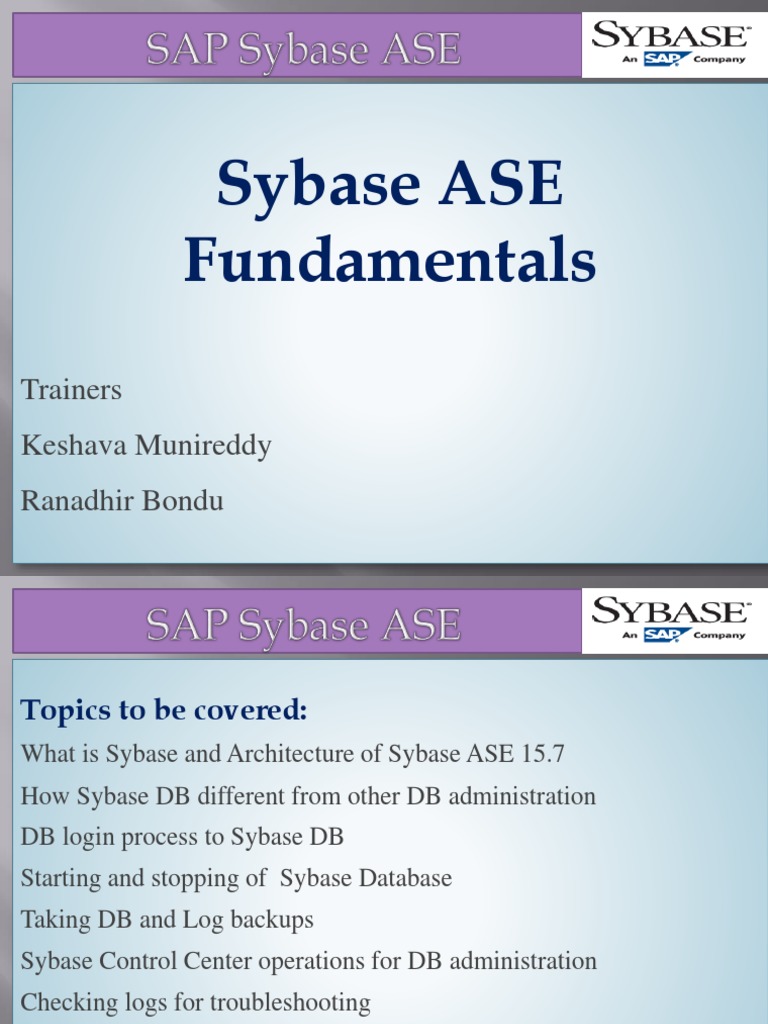 Sybase Fundamentals | PDF | Databases | Information Retrieval