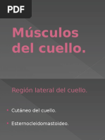 Musculos de La Nuca | PDF | Anatomía humana | Sistema musculoesquelético