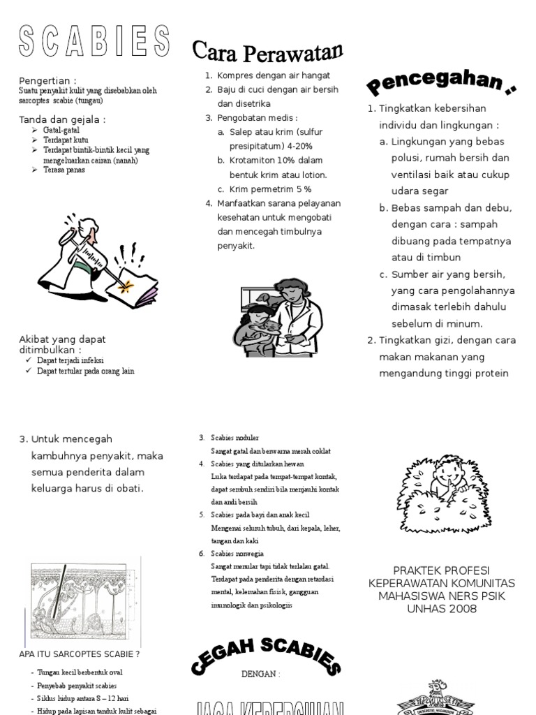 Leaflet Scabies | PDF