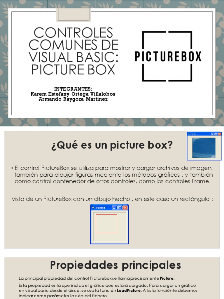 Control Comun de Visual Basic: Picture Box | PDF | Básico | Archivo de ...