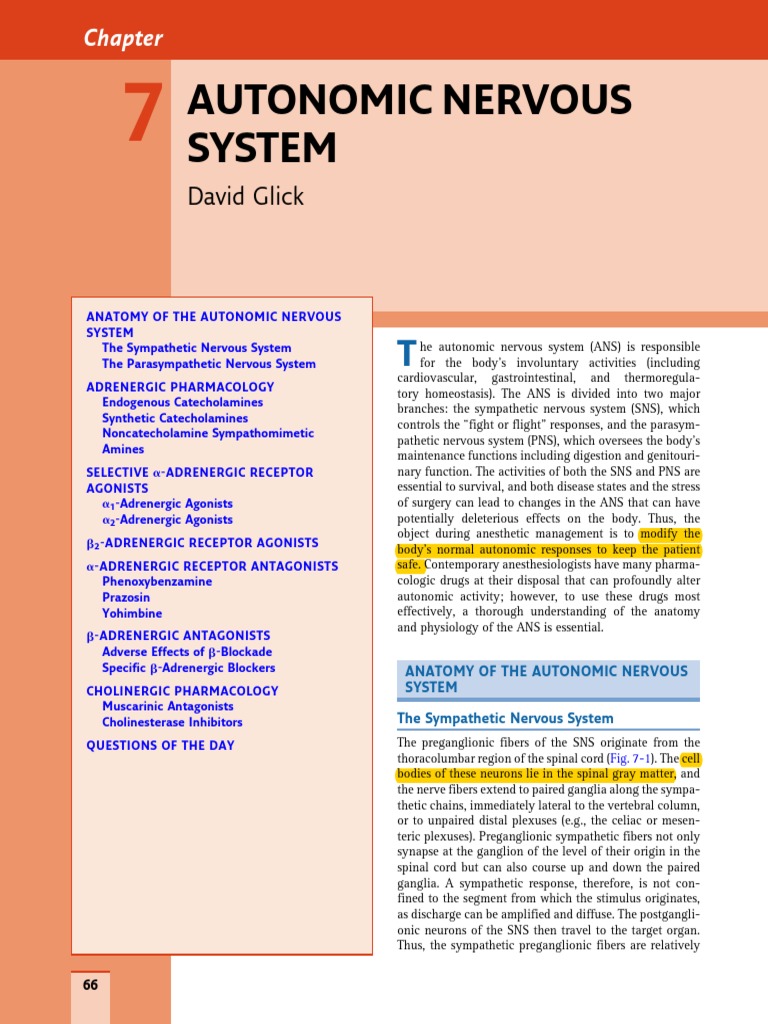 Autonomic Nervous System Overview | PDF | Autonomic Nervous System ...