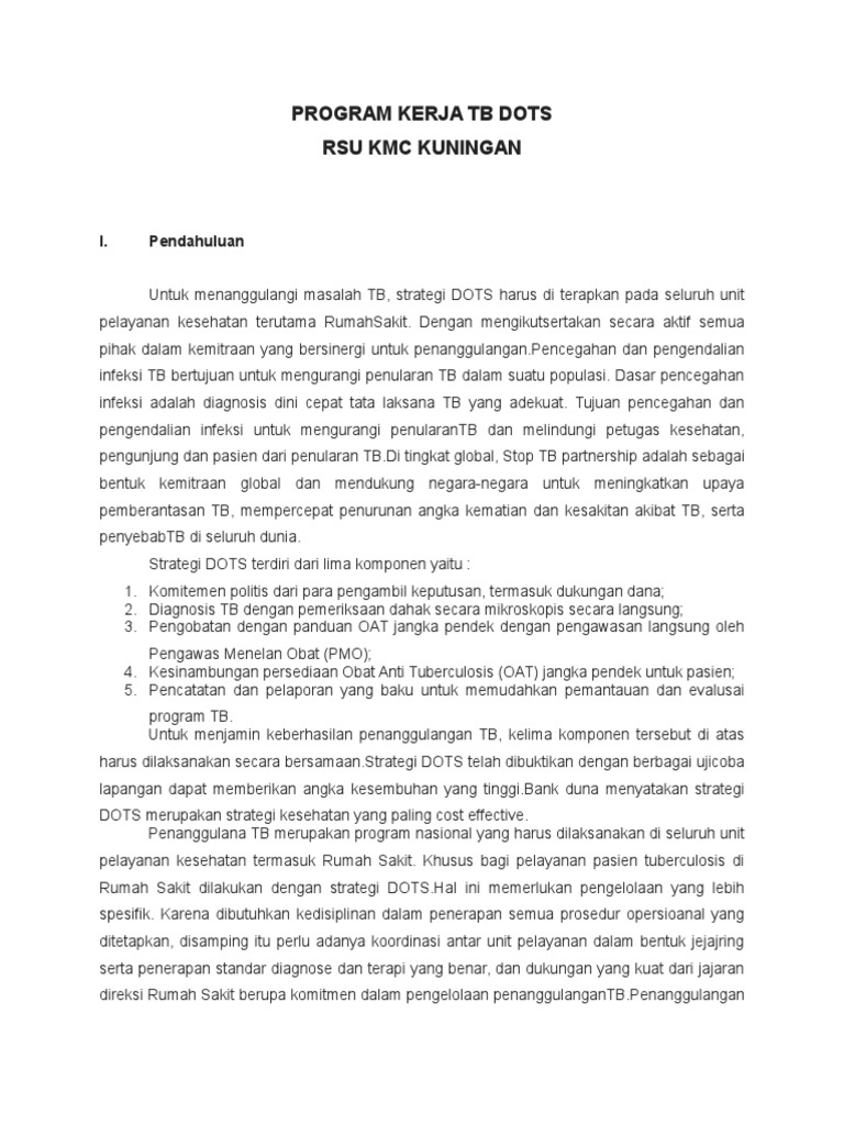Program Kerja TB Dots | PDF