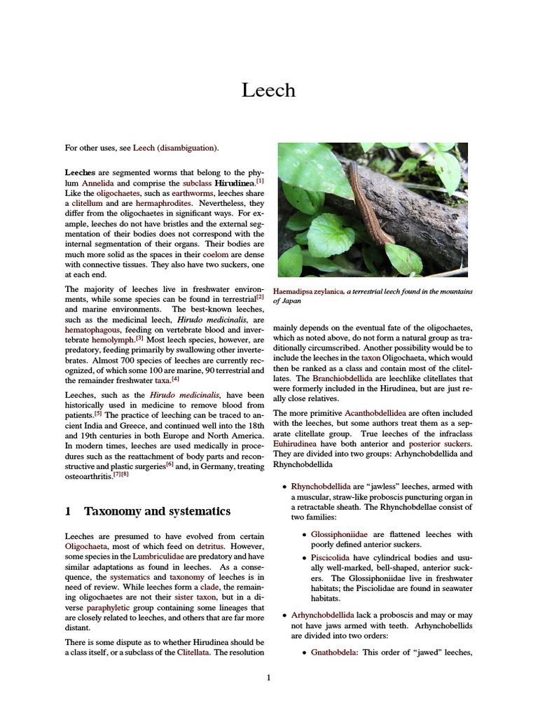 Leech Pdf Biology Medicine