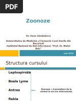 Meniu - Shaorma Socului Kebap | PDF