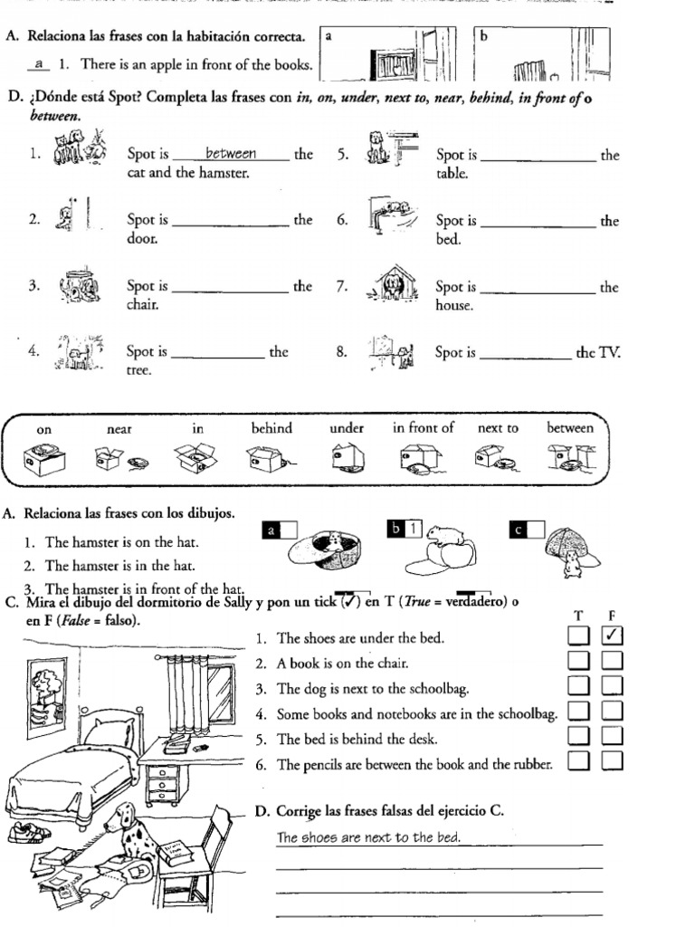 Prepositions of Place - Worksheet To Revise For The Starters Exam | PDF