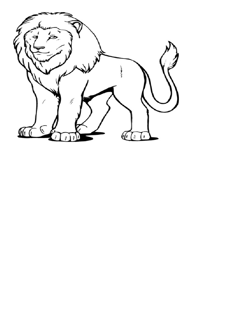 Animale, Imagini de Colorat | PDF