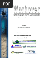 Open Wells | PDF | Programa de computadora | Programación