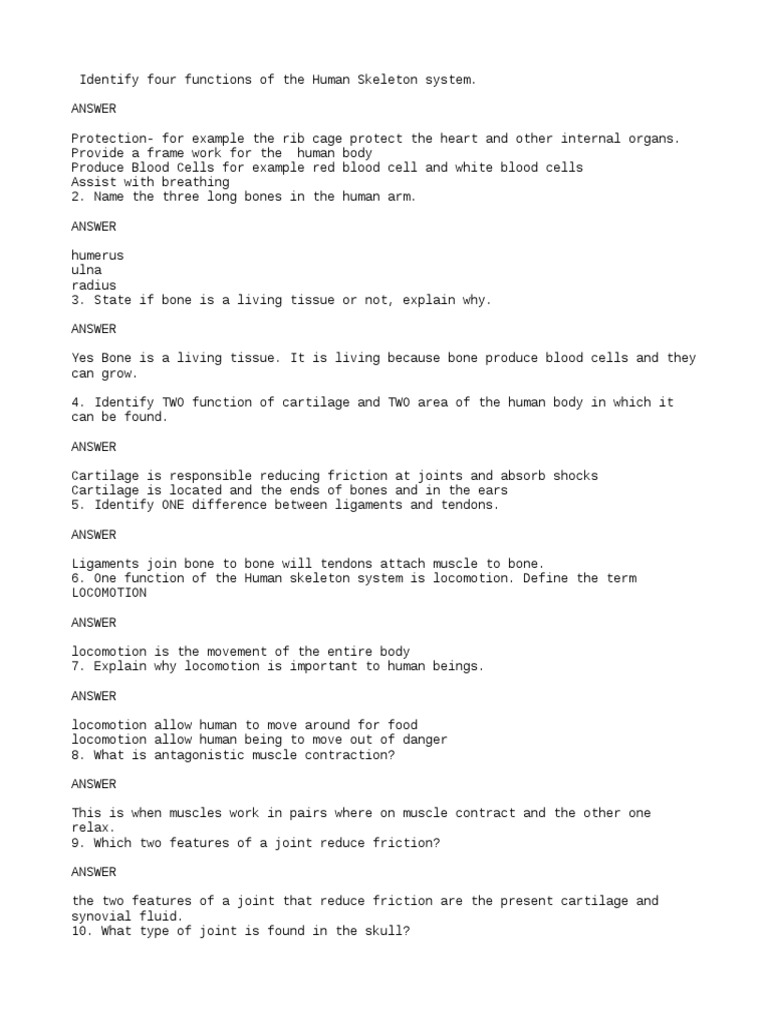 HSB Skeletal Notes | Skeleton | Bone