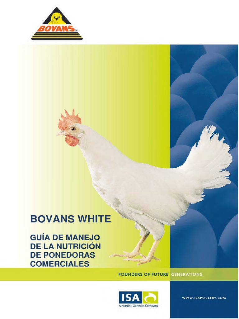 Guía de Nutrición para Bovans White | PDF | Huevo como alimento | Dieta