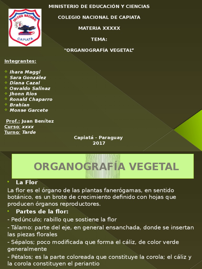 Organografía Vegetal | Fruta | Flores