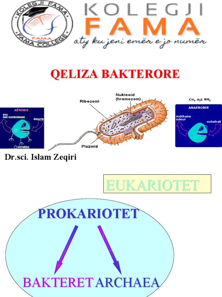 Qeliza bakterore-1