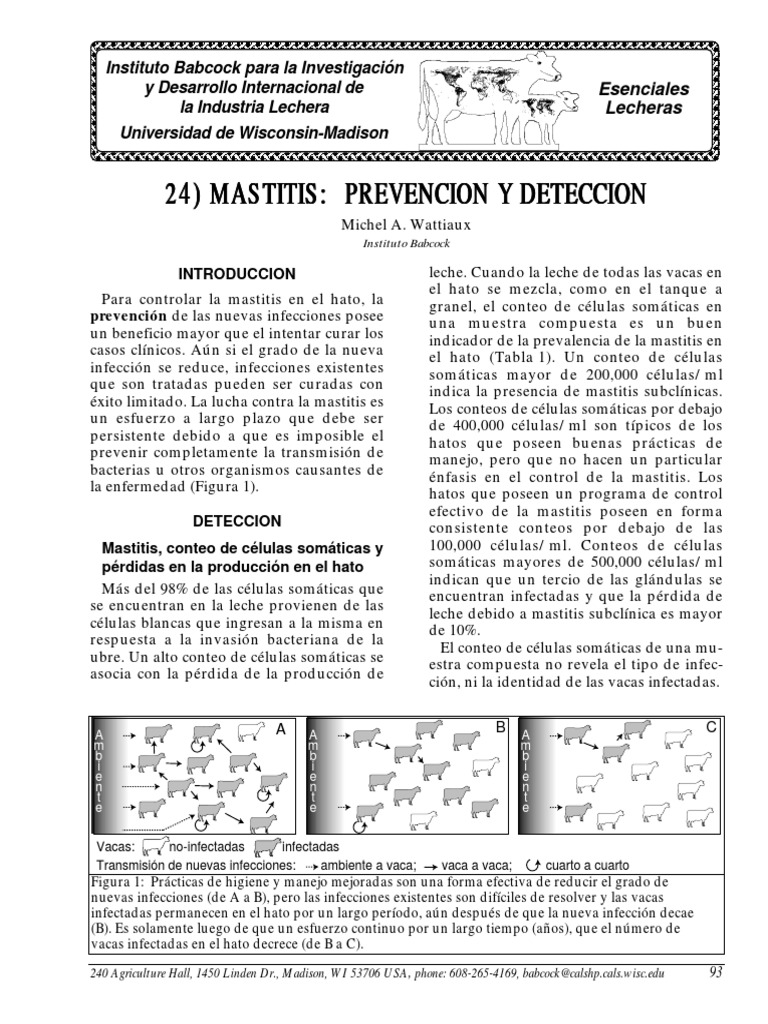 Prevención y Detección de Mastitis Lechera | PDF | Leche | Las bacterias