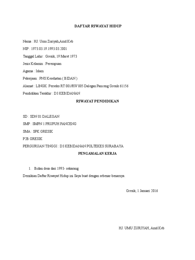 CV Bidan Desa | PDF