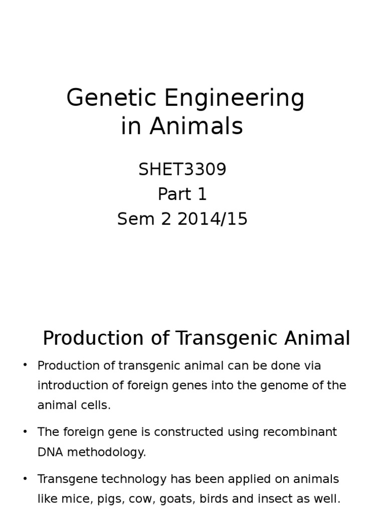 Genetic Engineering in Animals Part 1 17052013 | PDF | Transgene ...