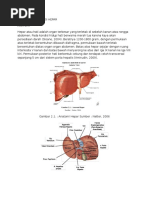 Anatomi dan Segmen Hepar Manusia | PDF