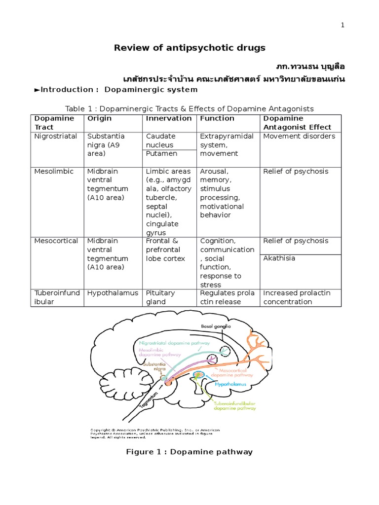 Review of Antipsychotic Drugs | Antipsychotic | Dopamine