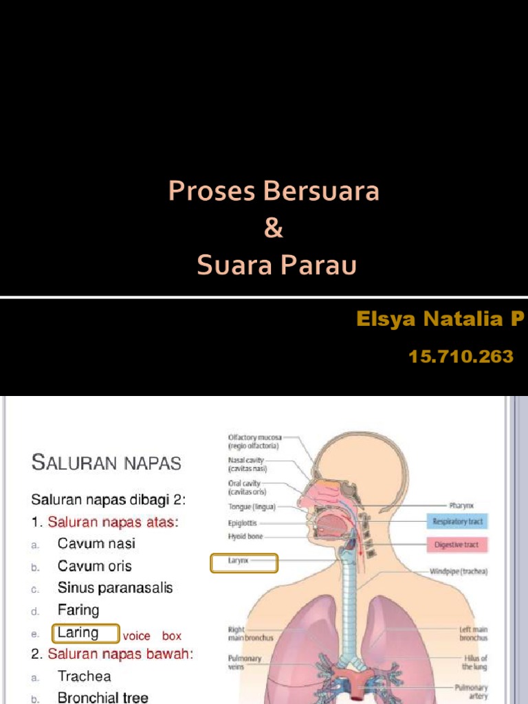 Suara Parau | PDF