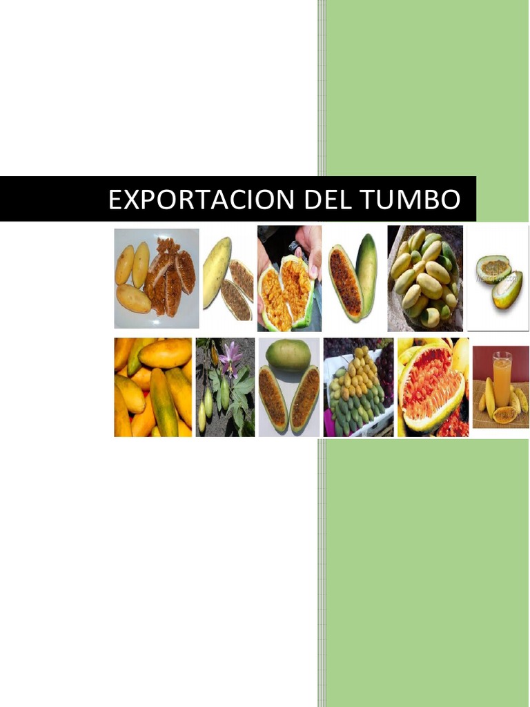 Tumbo | PDF | Perú | Nutrición