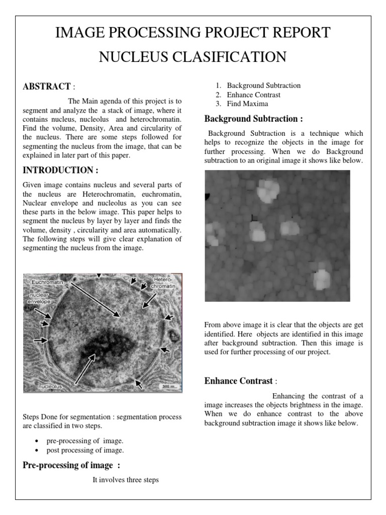 Image Processing Project Report Nucleus Clasification: Abstract | PDF | Image Segmentation ...