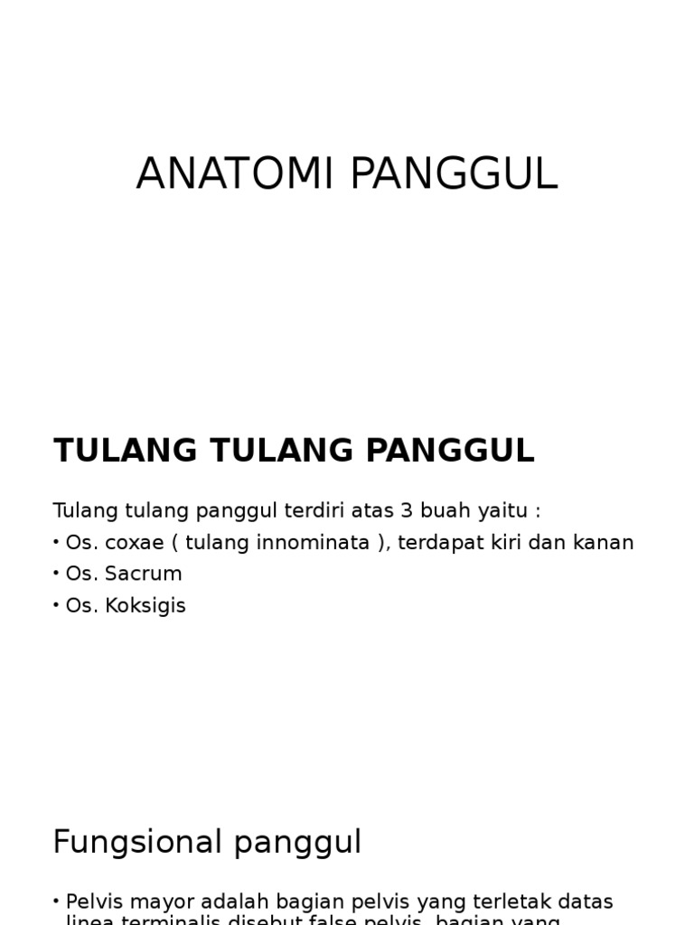 Anatomi dan Ukuran Panggul Manusia | PDF