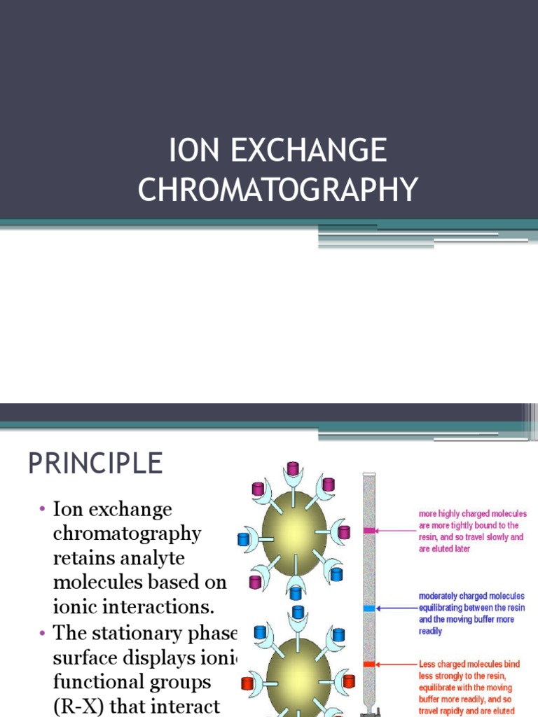 Ion Exchange Chromatography | PDF