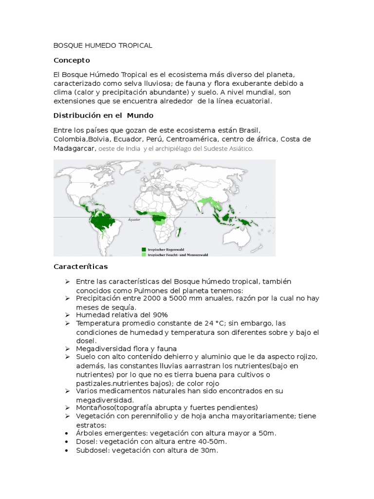 Características del Bosque Húmedo Tropical | PDF | Ciencias de la ...