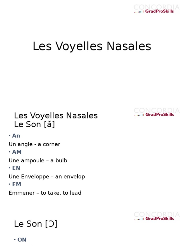 Les Voyelles Nasales | PDF