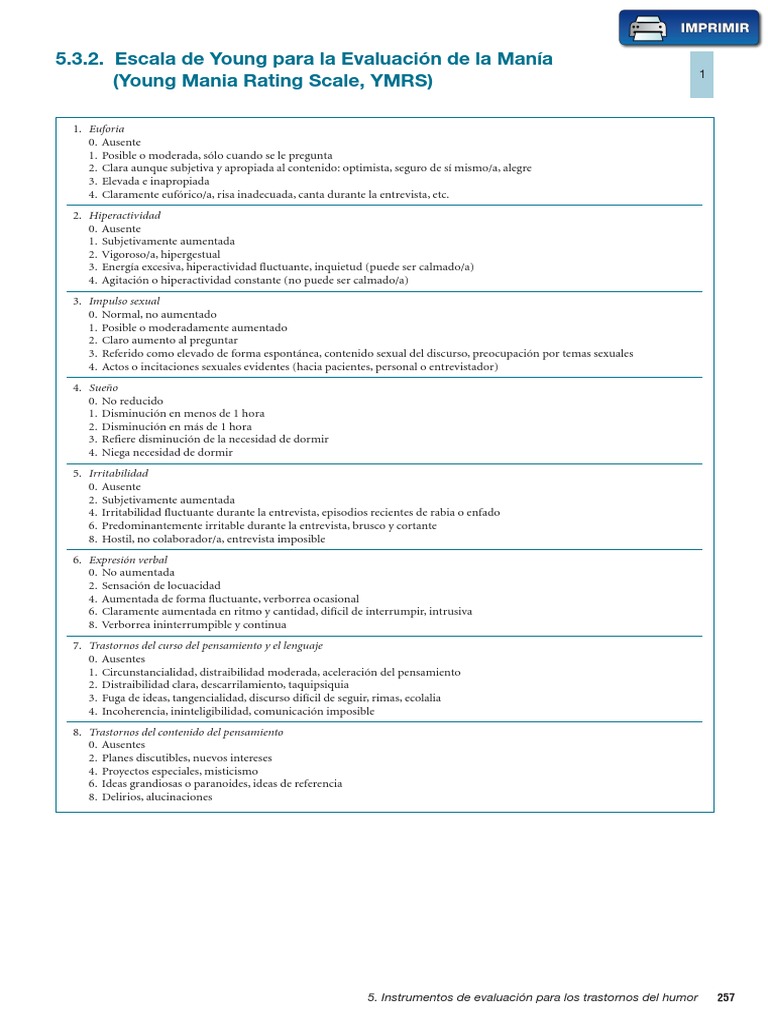 Young Mania Rating Scale Score Interpretation